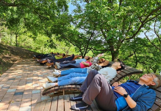 계룡시 2023년 향적산치유의숲 산림치유프로그램 성료